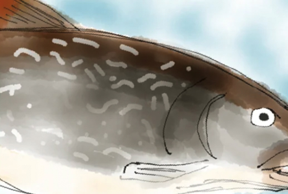 AbTeC TV — Zoe Todd Prairie Fish Futures Métis Legal Traditions and ...